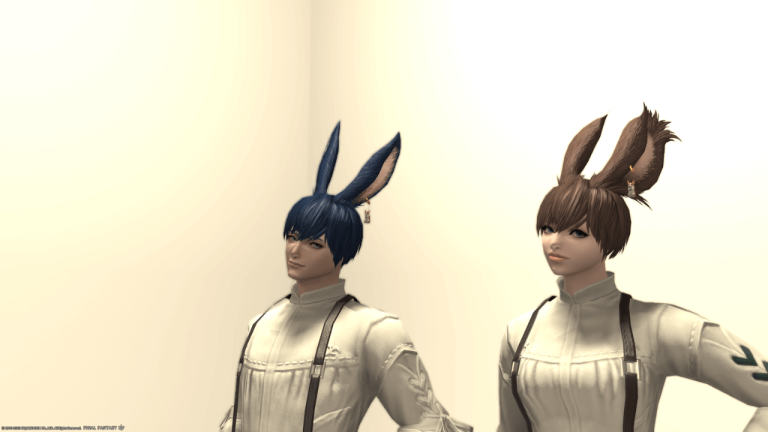 FF14 ヴィエラの髪型 【9S】見た目と入手先 | お気楽エオライフ