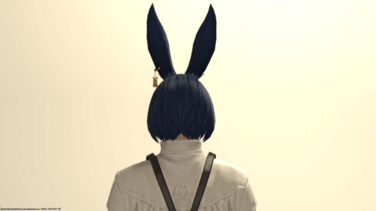 FF14 ヴィエラの髪型 【2B】見た目と入手先 | お気楽エオライフ