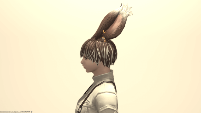 FF14 ヴィエラの髪型 【9S】見た目と入手先 | お気楽エオライフ